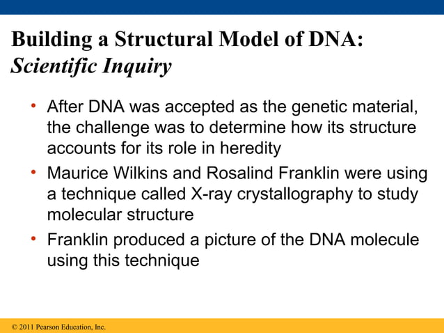 Ch 16: The Molecular Basis of Inheritance | PPT | Biological Sciences | Science