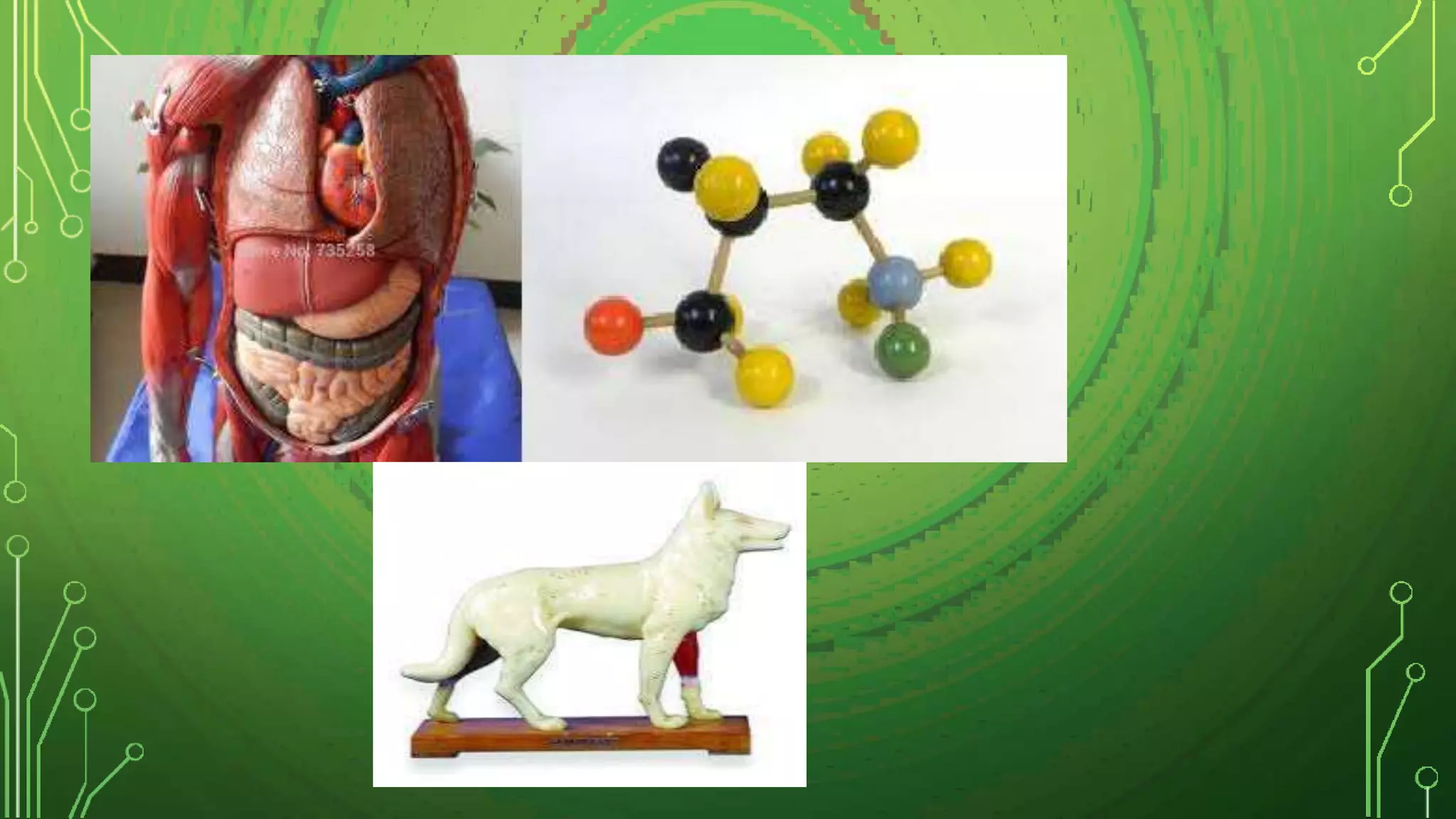 16 manipulative information and media.pptx