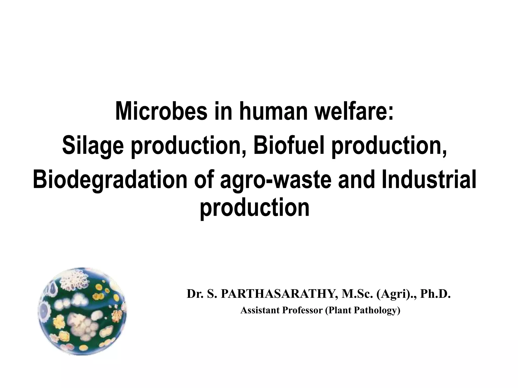 Microbes in human welfare | PPTX