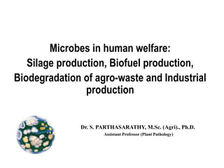 Microbes in human welfare | PPTX