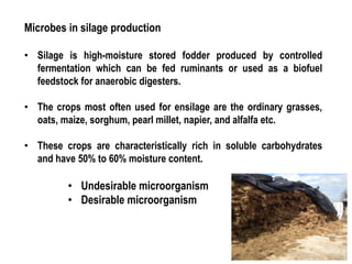 Microbes in human welfare | PPTX
