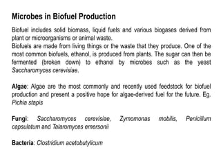 Microbes in human welfare | PPTX