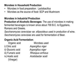 Microbes in human welfare | PPTX