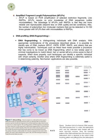 Molecular markers | DOC