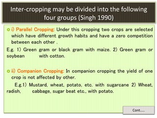 Intercropping system in BT cotton | PPTX