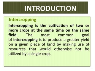 Intercropping system in BT cotton | PPTX