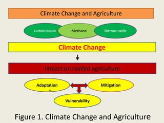 impact of climate change in rainfed agriculture | PPTX