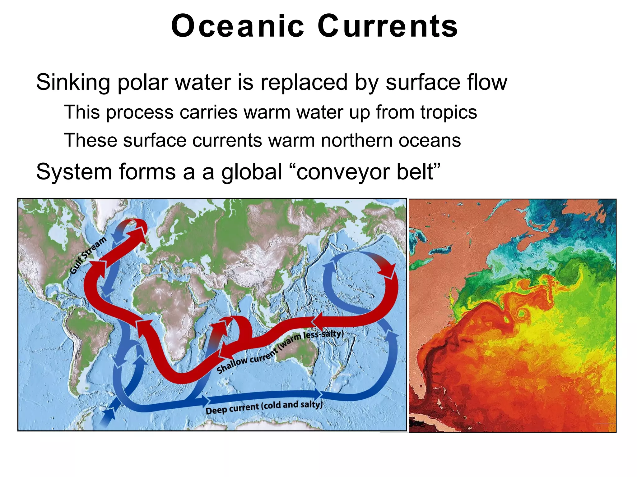 16 oceans coasts_forstudents | PPT