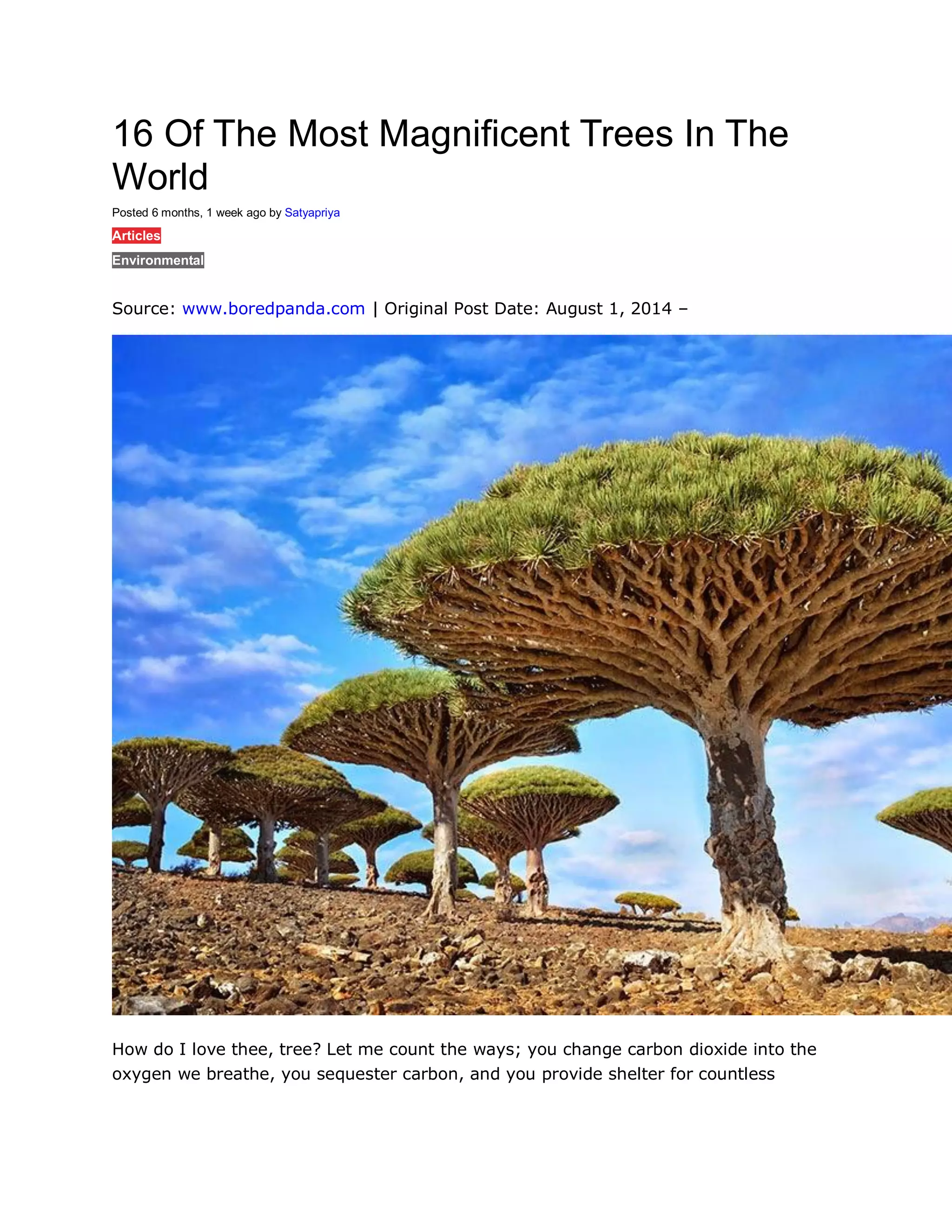 16 of the most magnificent trees in the world | PDF