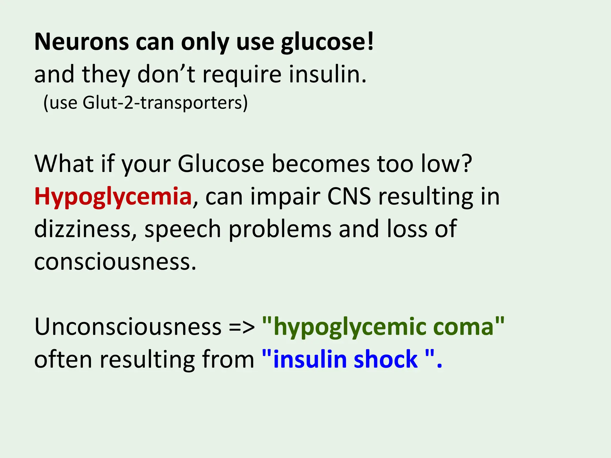 #16 Pancreas Physiology presentation ppt | PPT