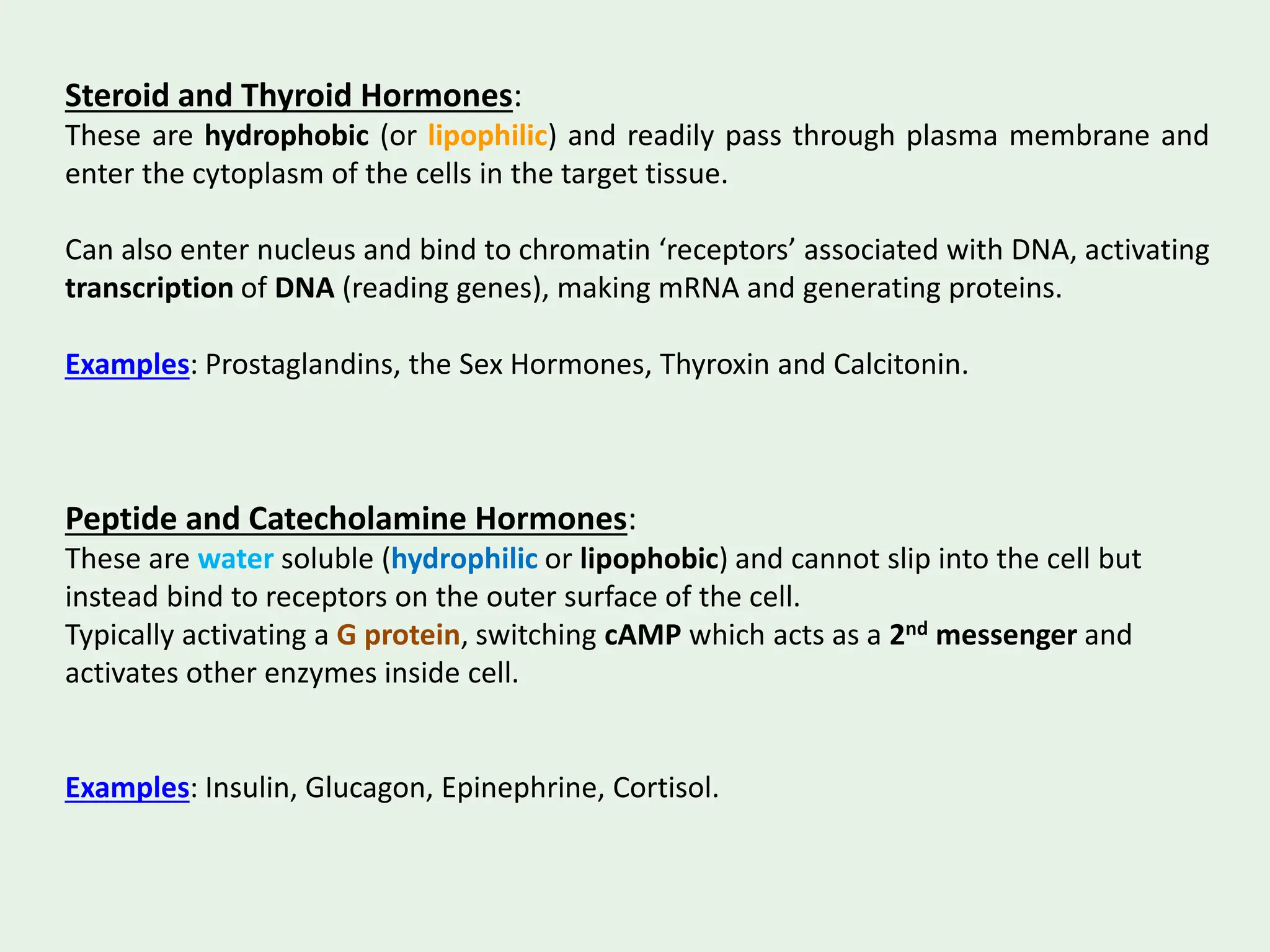 #16 Pancreas Physiology presentation ppt | PPT