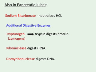 #16 Pancreas Physiology presentation ppt | PPT