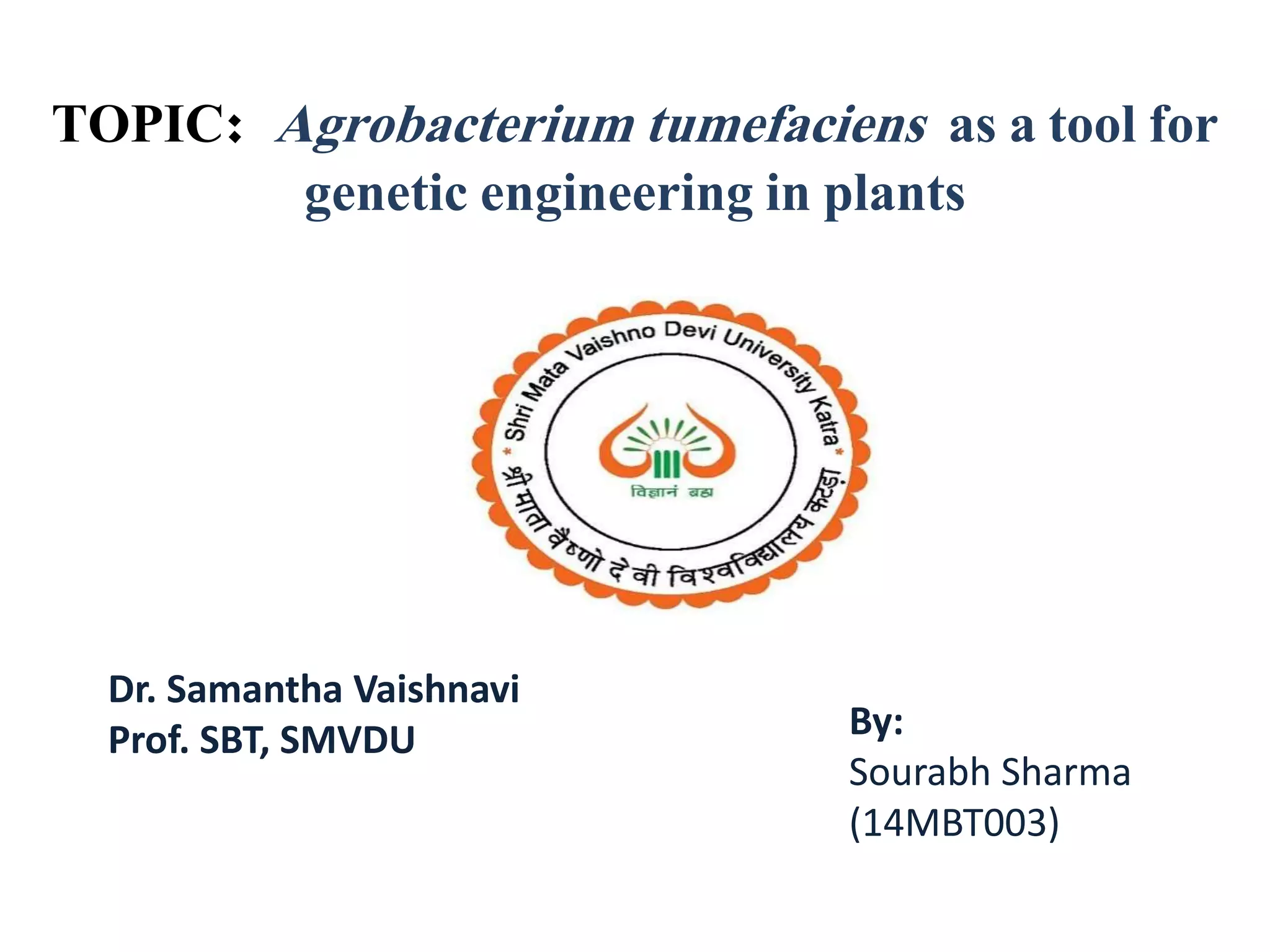 Agrobacterium tumefaciens as a tool for genetic engineering in plants ...