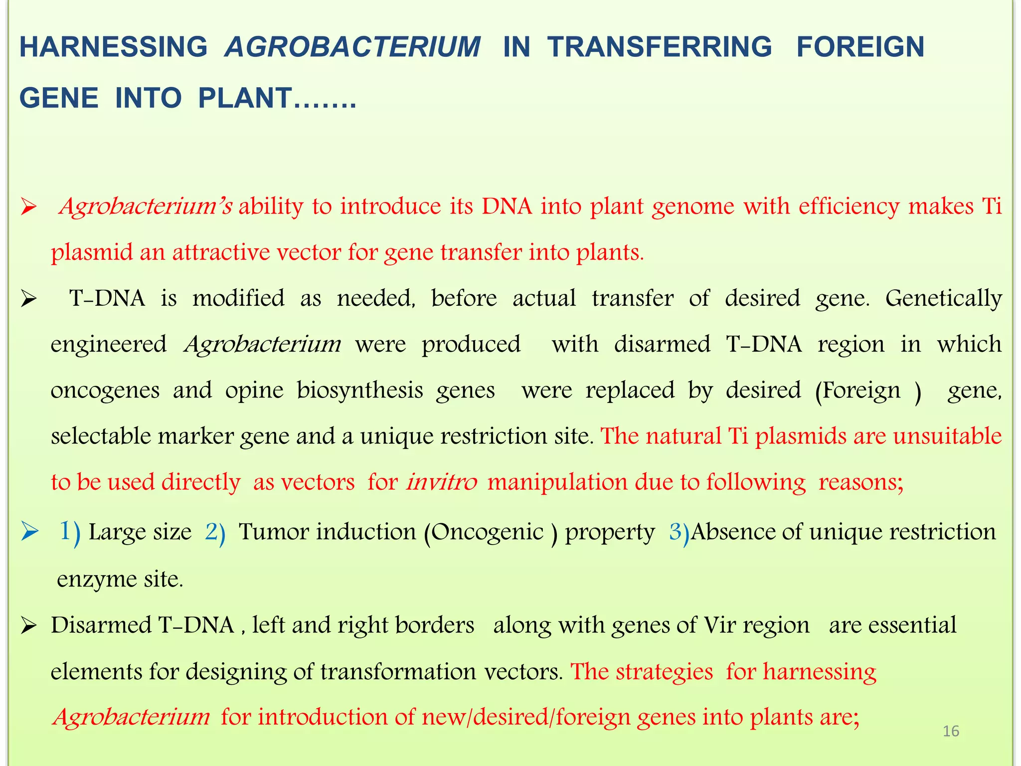 Agrobacterium tumefaciens as a tool for genetic engineering in plants ...