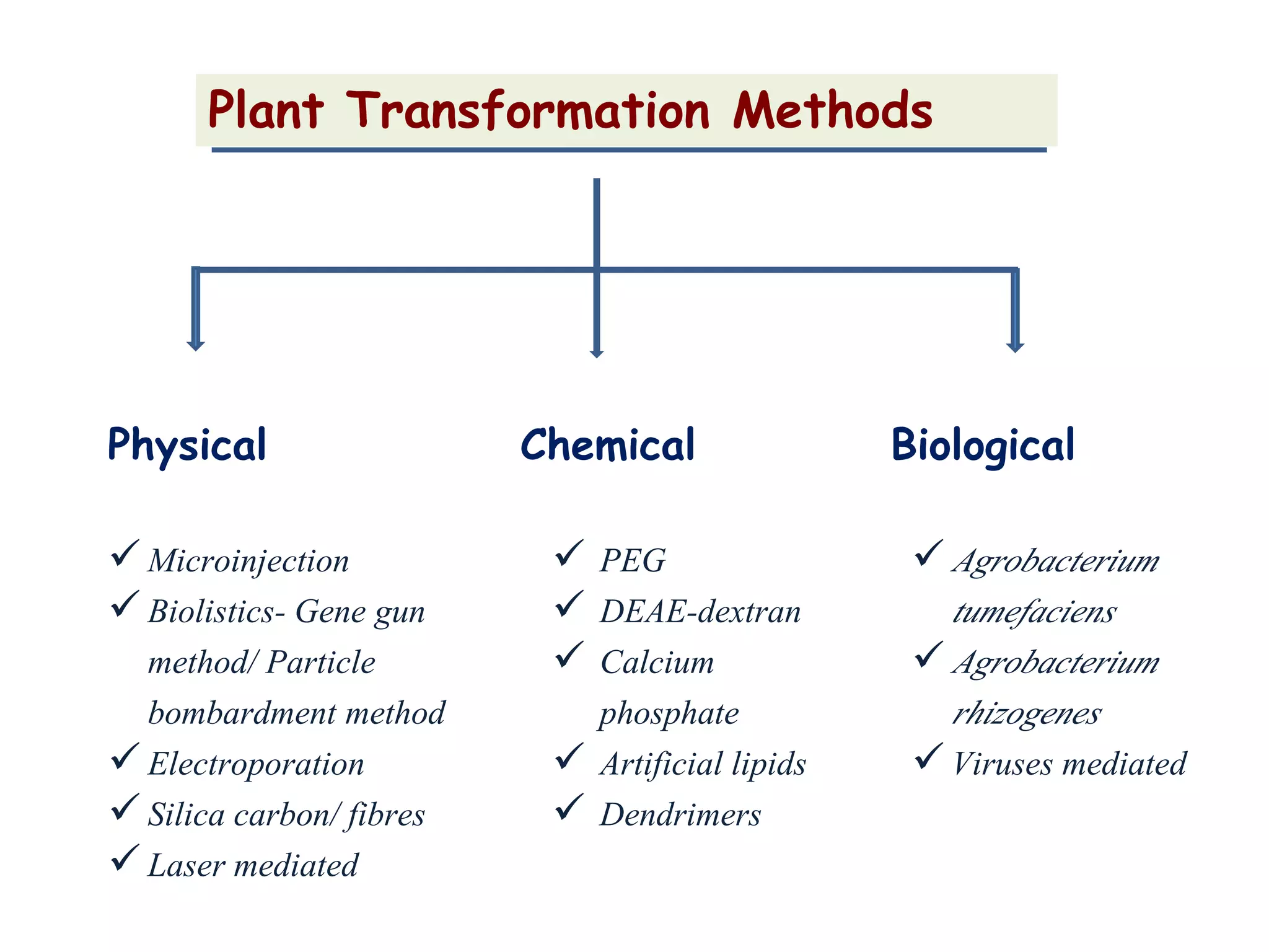 Agrobacterium tumefaciens as a tool for genetic engineering in plants ...