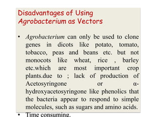 Agrobacterium tumefaciens as a tool for genetic engineering in plants ...