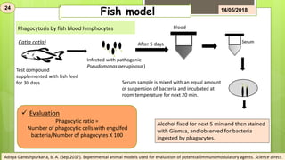 Screening models for testing of immunological factors | PPT