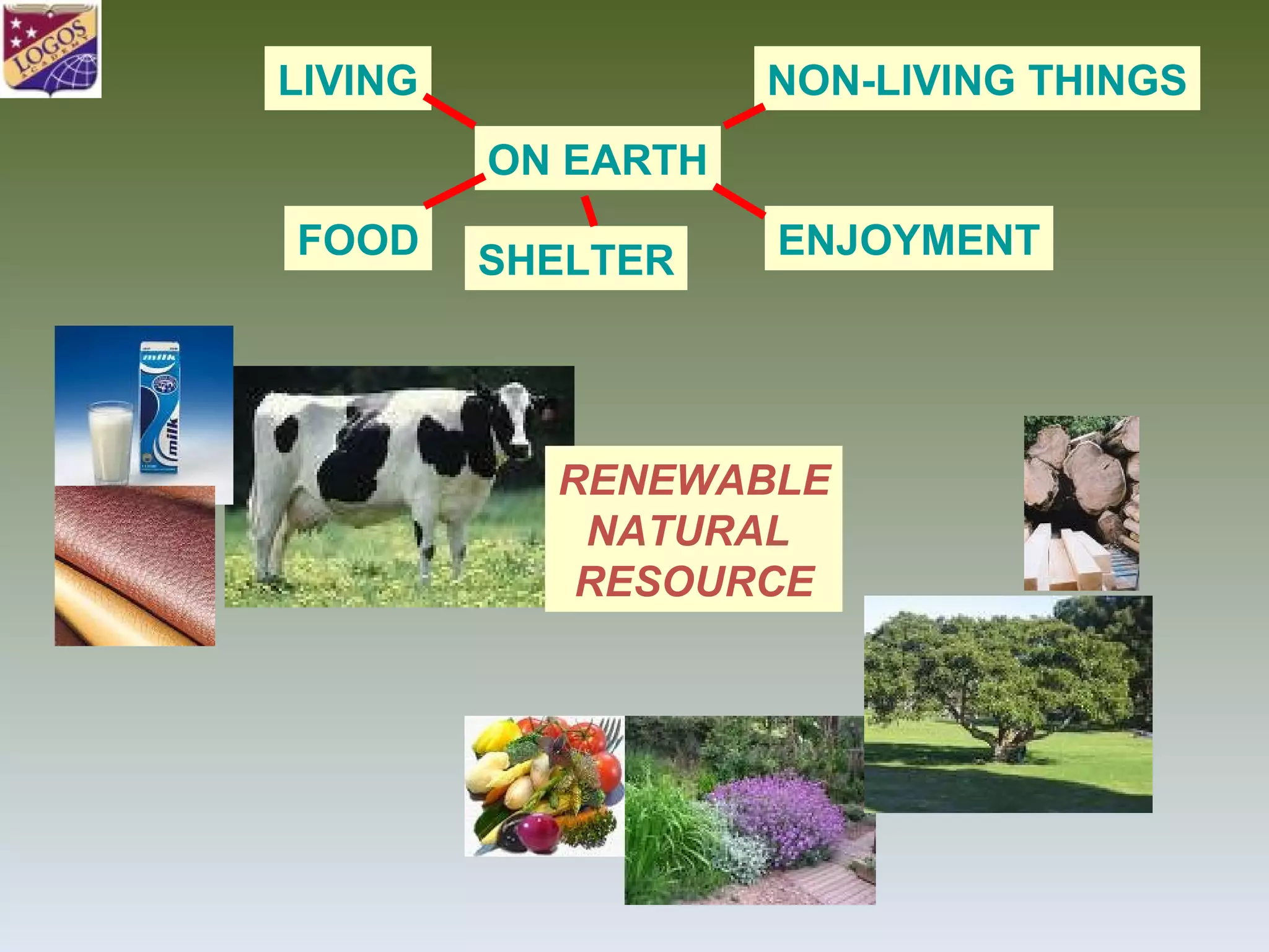 Renewable And Nonrenewable Resources | PPT
