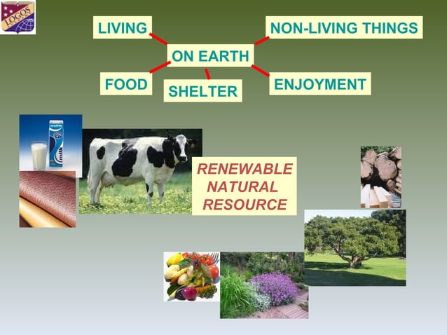 Renewable And Nonrenewable Resources | PPT