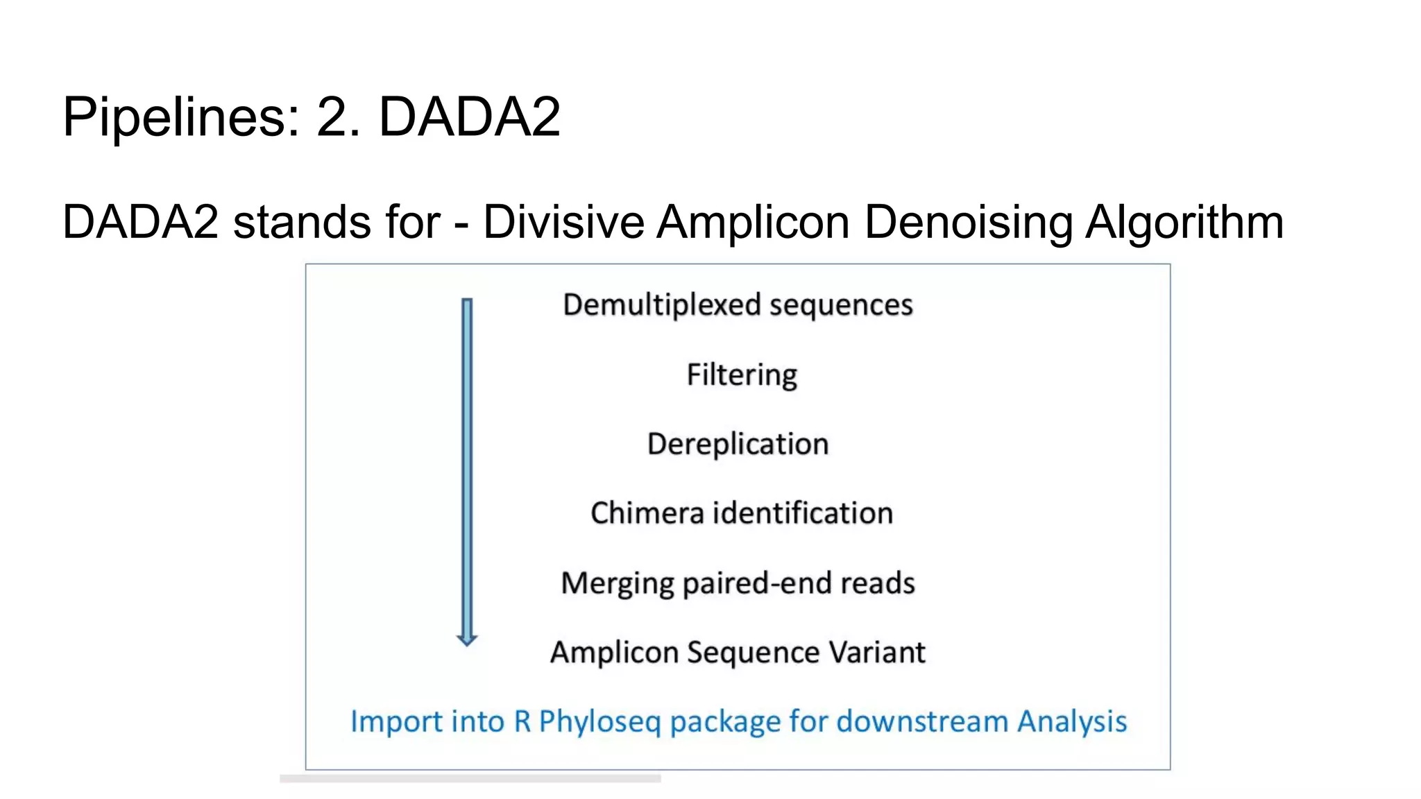 16S rRNA Analysis using Mothur Pipeline | PDF