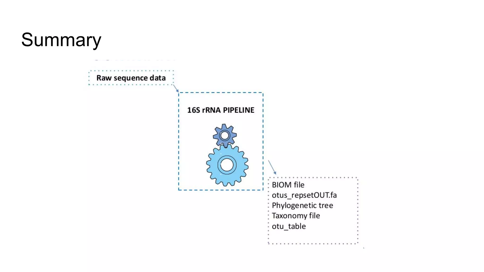 16S rRNA Analysis using Mothur Pipeline | PDF