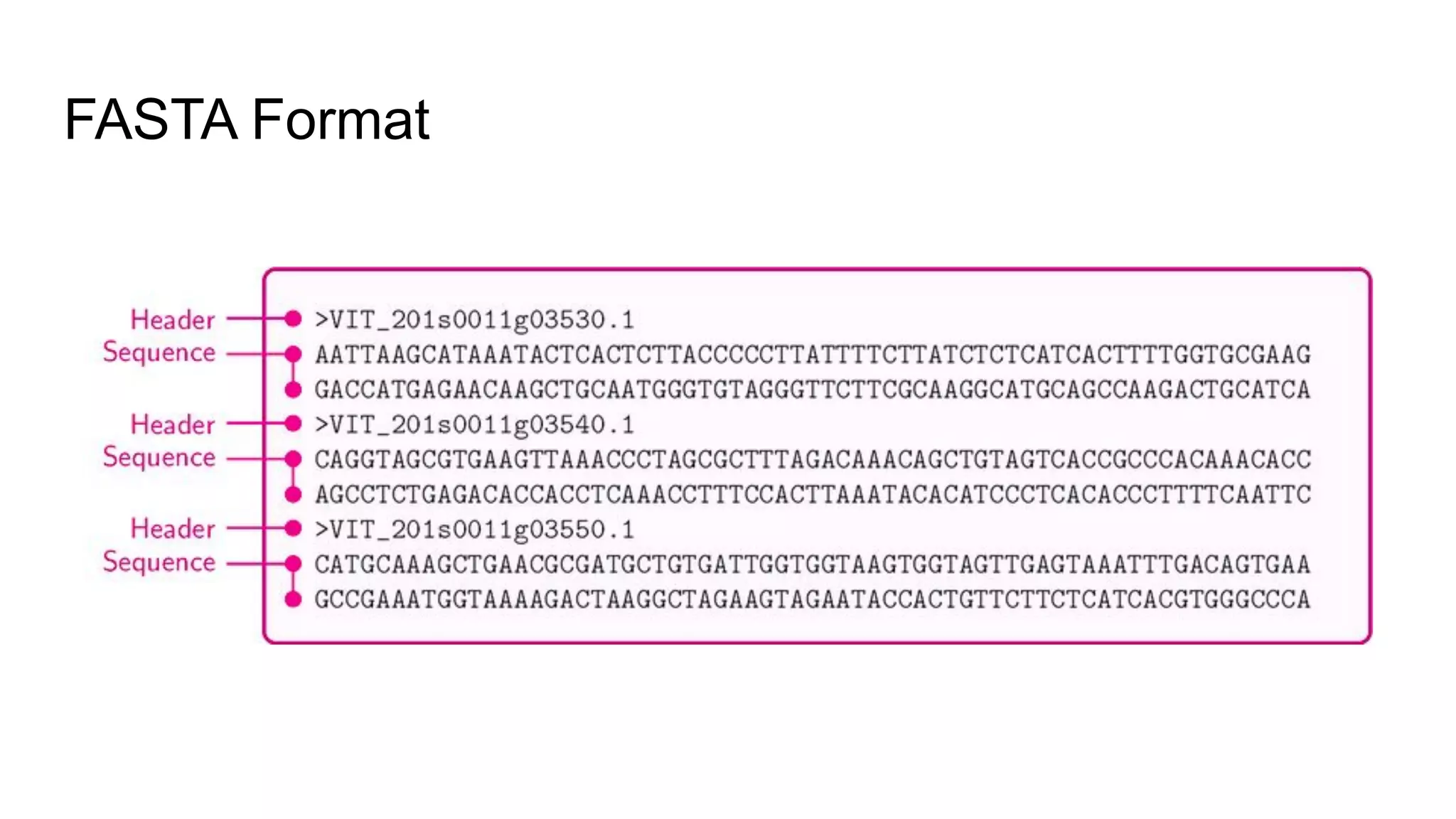 16S rRNA Analysis using Mothur Pipeline | PDF