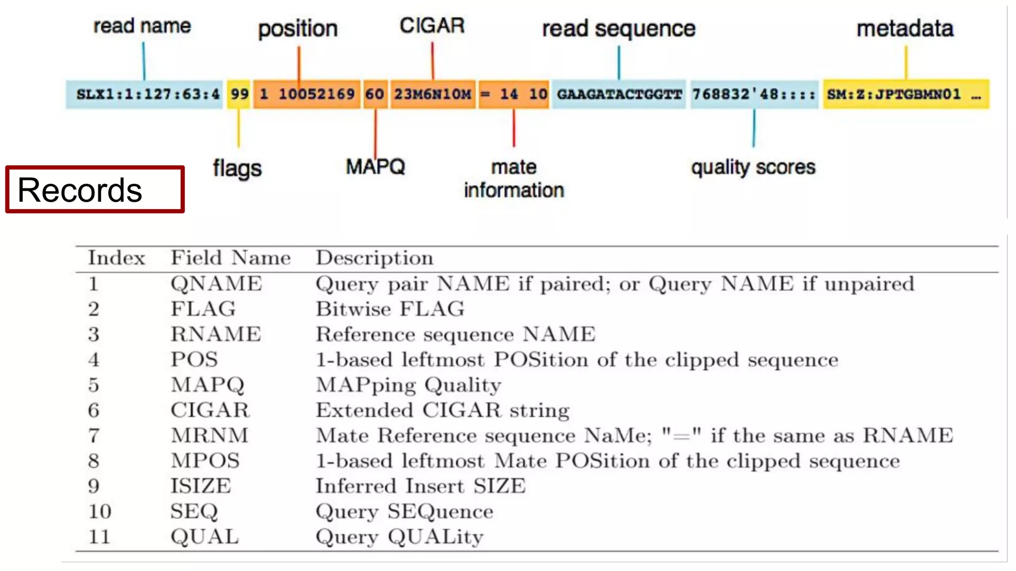 16S rRNA Analysis using Mothur Pipeline | PDF