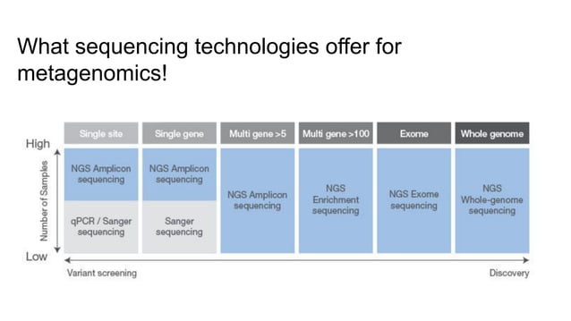 16S rRNA Analysis using Mothur Pipeline | PDF