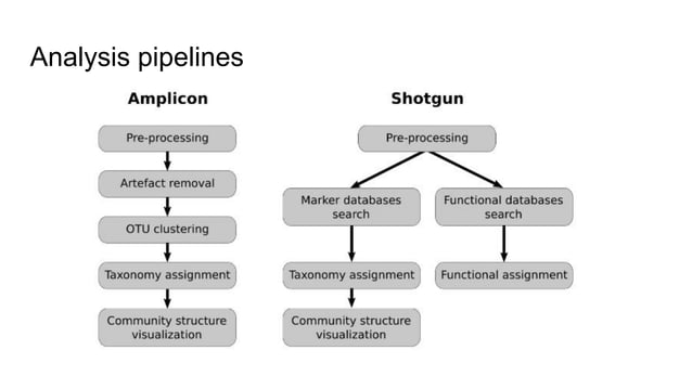 16S rRNA Analysis using Mothur Pipeline | PDF