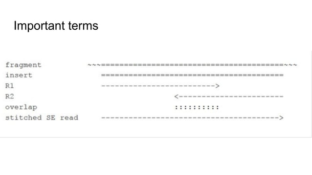 16S rRNA Analysis using Mothur Pipeline | PDF