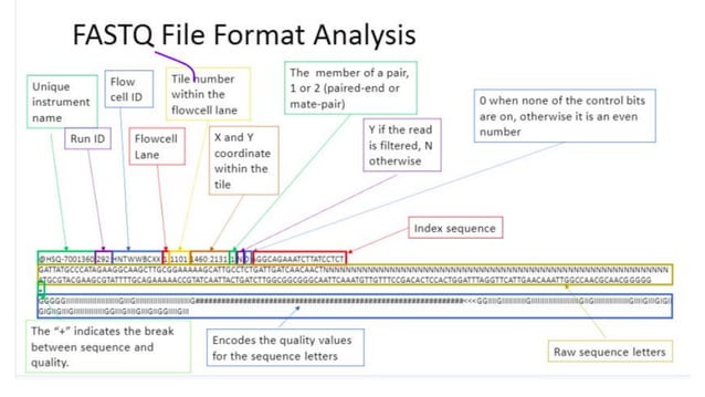 16S rRNA Analysis using Mothur Pipeline | PDF