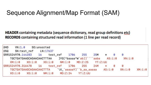 16S rRNA Analysis using Mothur Pipeline | PDF