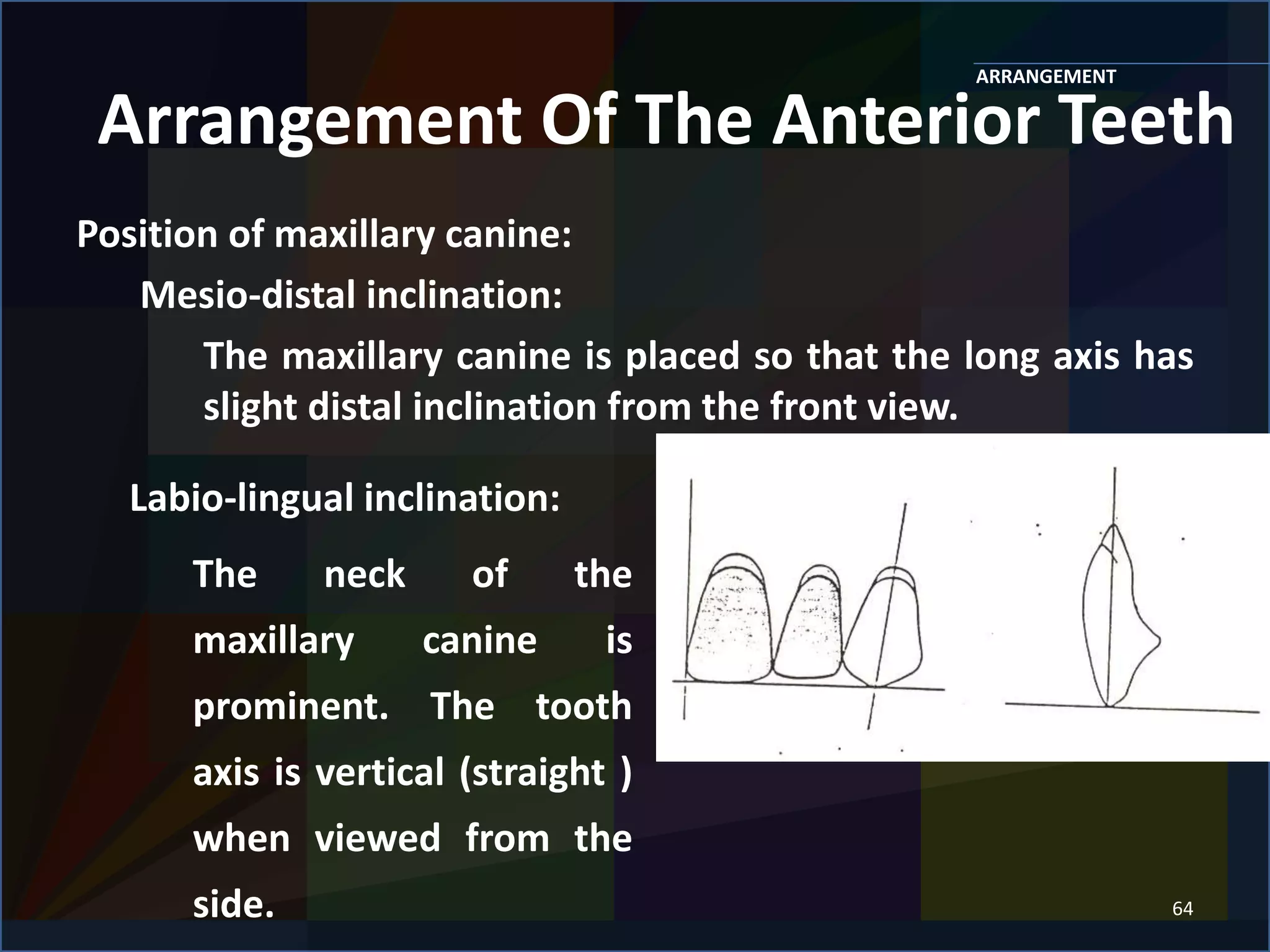 SELECTION AND ARRANGEMENT OF ARTIFICIAL TEETH | PPTX