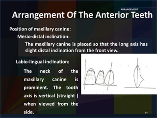 SELECTION AND ARRANGEMENT OF ARTIFICIAL TEETH | PPTX