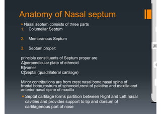 Comprehensive Overview of Deviated Nasal Septum: Anatomy, Diagnosis ...