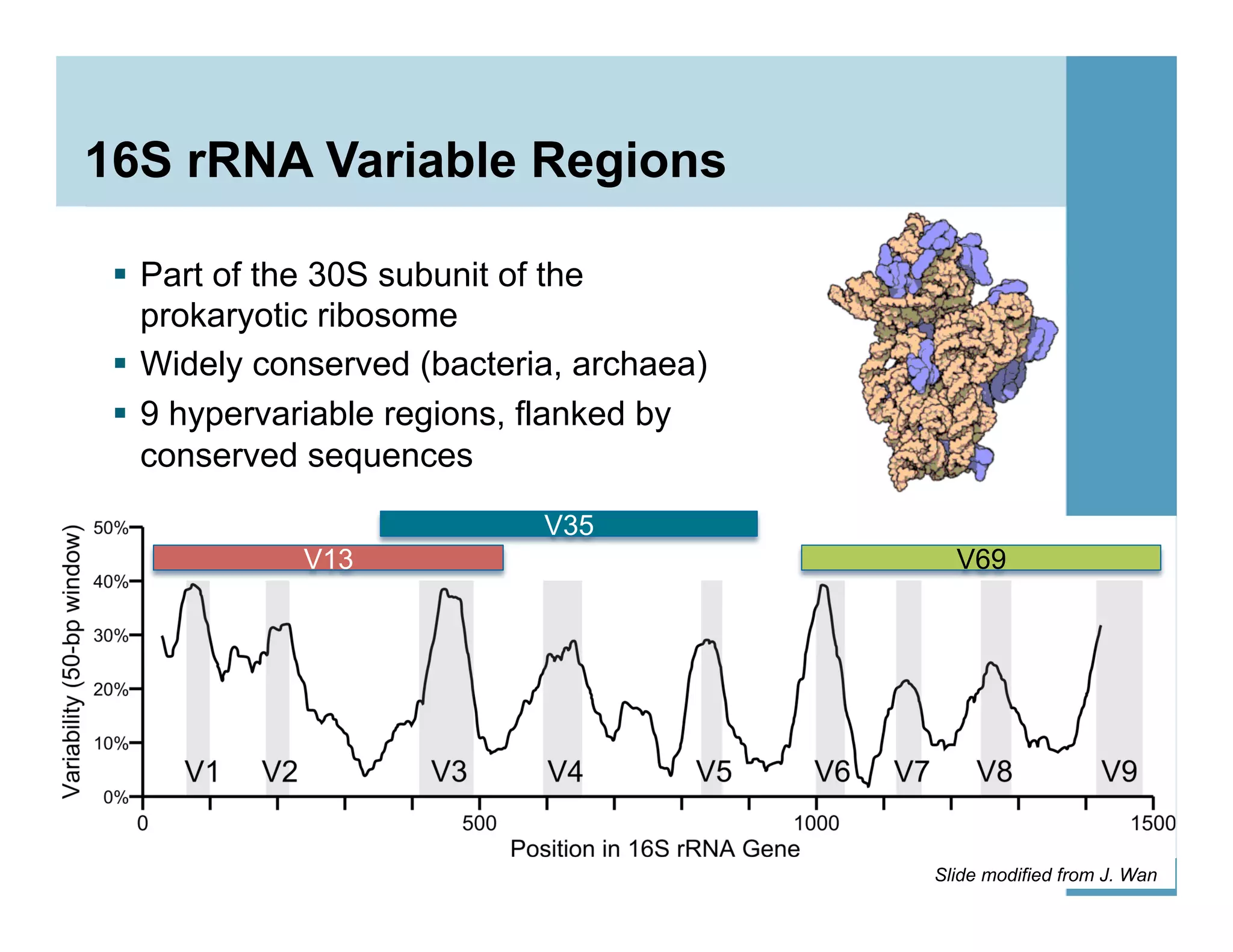 Introduction to 16S Microbiome Analysis | PDF