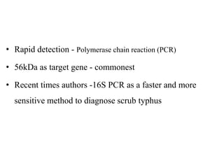 16S PCR.pptx