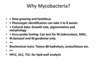 16 s rdna sequence analysis ANITA MARGRET bhc | PPTX