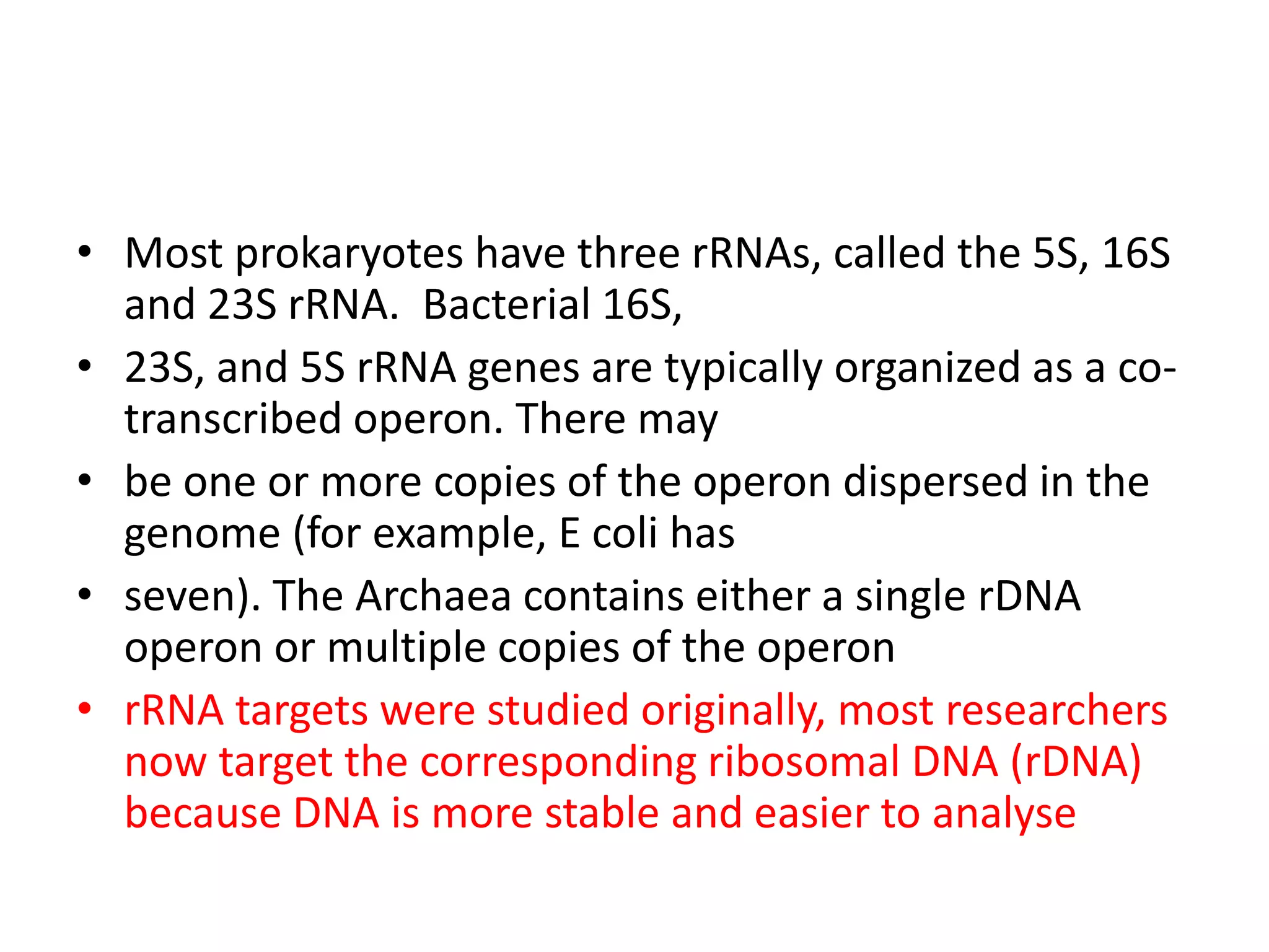 16S Ribosomal DNA Sequence Analysis | PPTX