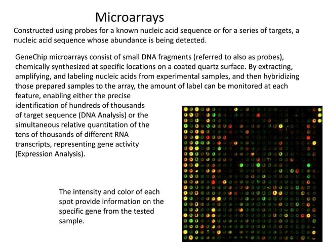 16S Ribosomal DNA Sequence Analysis