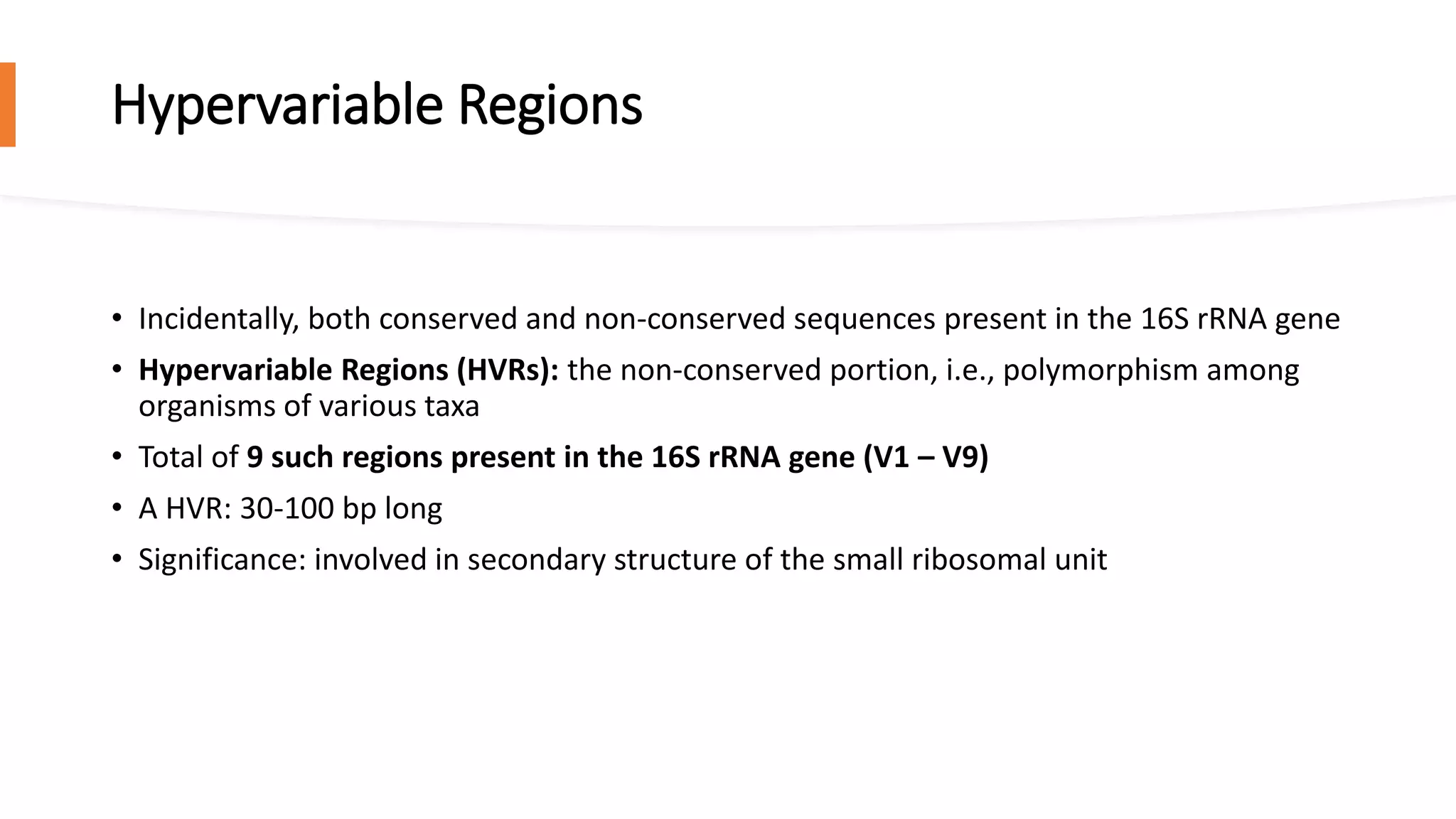 16 s rRNA Gene Sequencing for Bacterial Identification | PPTX