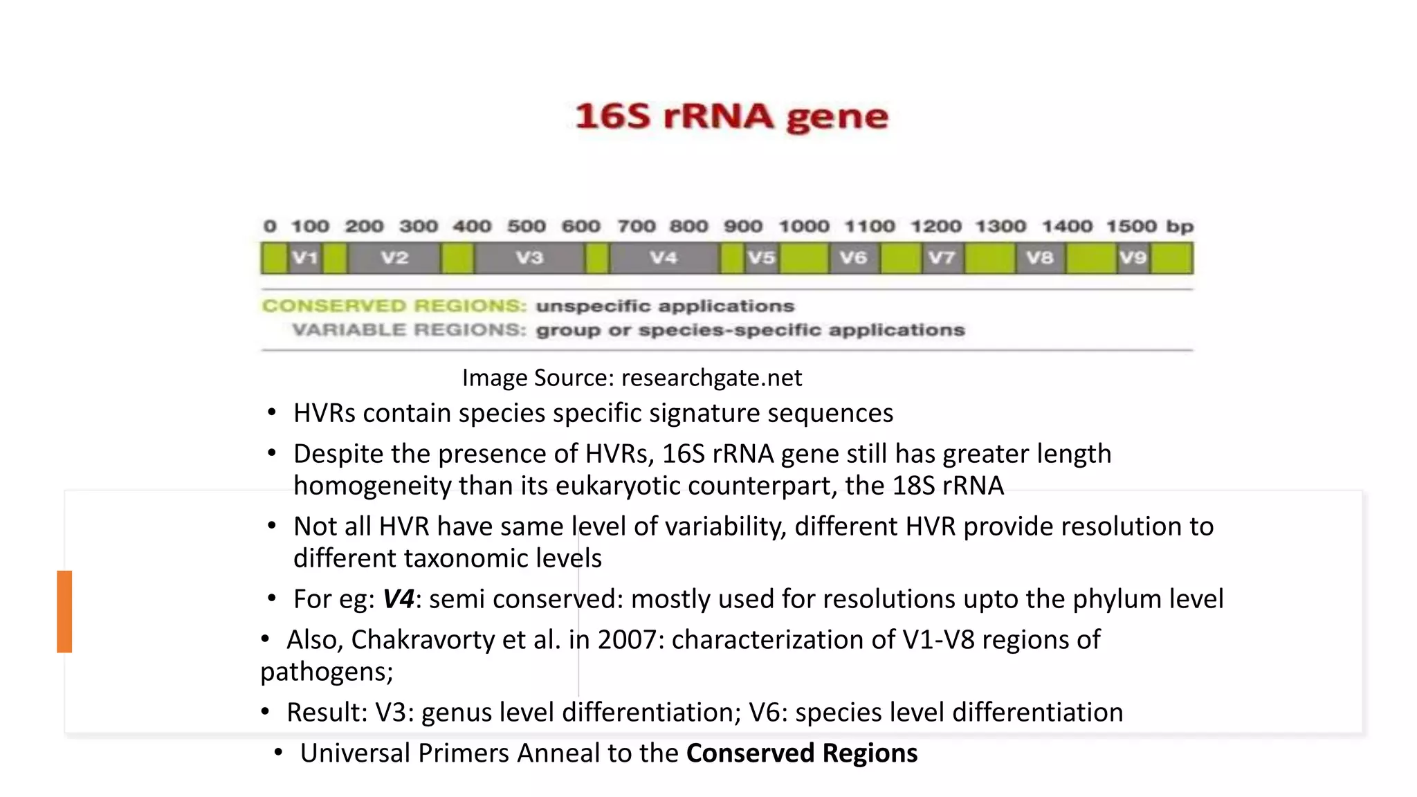 16 s rRNA Gene Sequencing for Bacterial Identification | PPTX