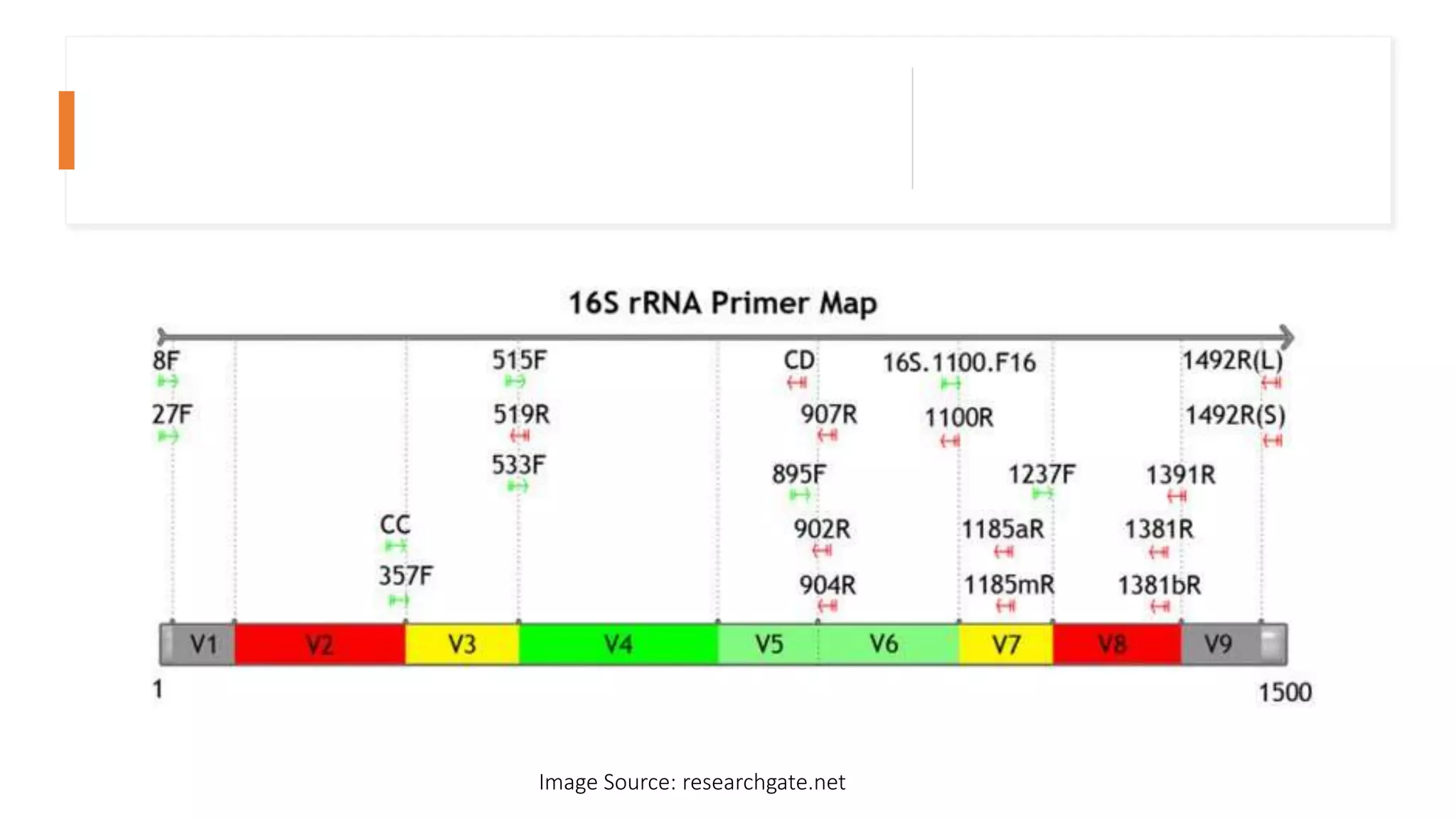 16 s rRNA Gene Sequencing for Bacterial Identification | PPTX