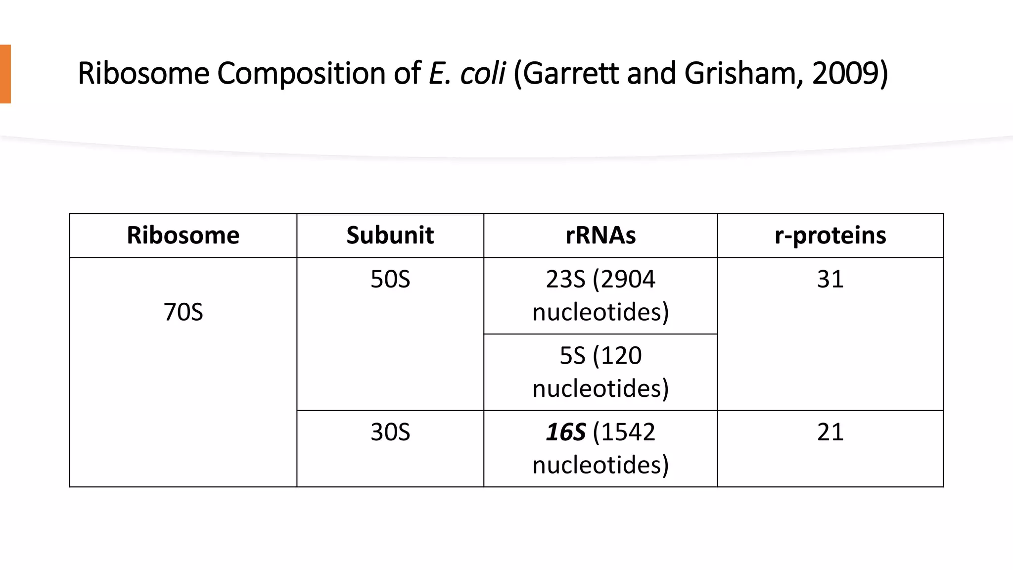 16 s rRNA Gene Sequencing for Bacterial Identification | PPTX