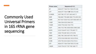 16 s rRNA Gene Sequencing for Bacterial Identification | PPTX