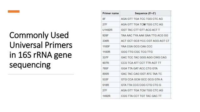 16 s rRNA Gene Sequencing for Bacterial Identification | PPTX | Programming Languages | Computing