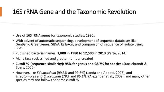 16 s rRNA Gene Sequencing for Bacterial Identification | PPTX | Programming Languages | Computing