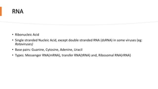 16 s rRNA Gene Sequencing for Bacterial Identification | PPTX