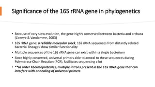 16 s rRNA Gene Sequencing for Bacterial Identification | PPTX