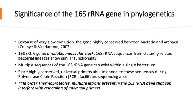 16 s rRNA Gene Sequencing for Bacterial Identification | PPTX ...